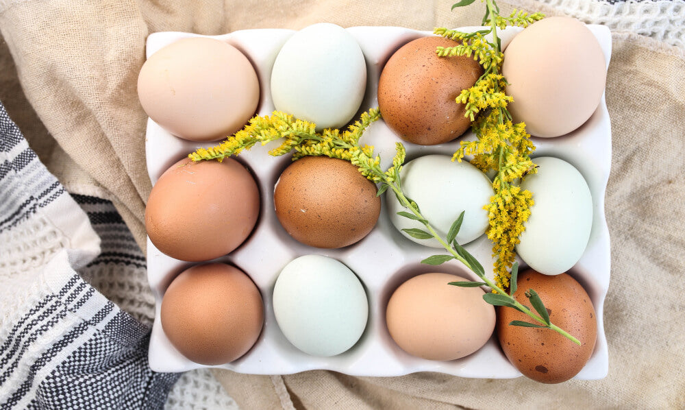 Ketahui Jenis Telur yang Tersedia di Pasar – Hock